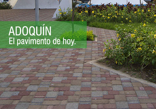 Paisajismo Con Adoquines De Losa